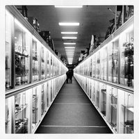 Springfield Antique Center - Antique Store