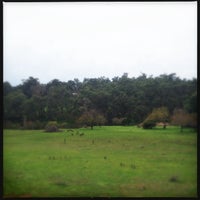 John Forrest National Park - National Park in Perth