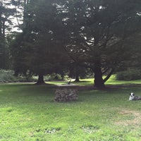 Fuchsia Dell - Golden Gate Park - San Francisco, CA