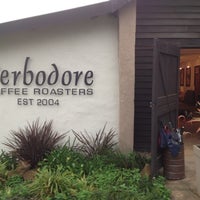 Terbodore Coffee - 8 tips