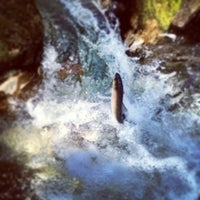 Herring Run - 3 tips from 119 visitors