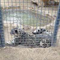 Exotic Feline Breeding Compound's Feline Conservation Center - 3718 ...