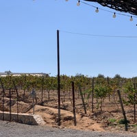 Vena Cava Vinícola - Rancho San Marcos, Toros Pintos, Valle de Guadalupe