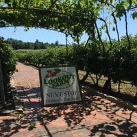 Lookout Farm - 17 tips from 985 visitors