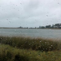 Dowses Beach - 8 tips from 504 visitors