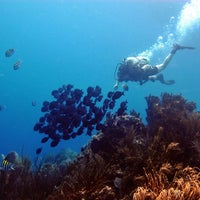 The Indians, BVI - Harbor / Marina