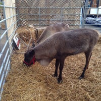 Podington Garden Centre - Garden Center