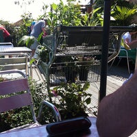 Podington Garden Centre - Garden Center