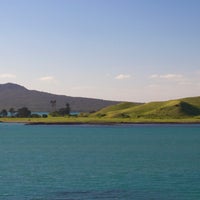 Musick Point - Bucklands Beach - 6 tips from 129 visitors