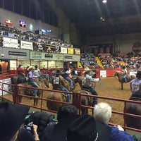 Stockyards Arena & Stables - Stable