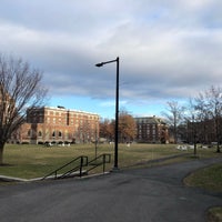Radcliffe Quadrangle - College Quad in Neighborhood Nine