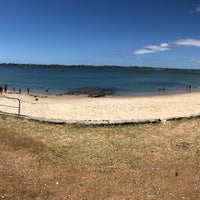 Shaws Bay - 5 tips from 114 visitors