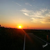 Ponte Ronca - 3 tips from 90 visitors