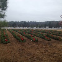 Alabama National Cemetery - Cemetery