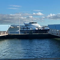 Terminal Fluvial do Montijo - Boat or Ferry in Montijo