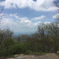 Springer Mountain Summit - 4 tips from 203 visitors