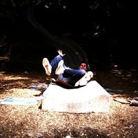 Codornices Park - Berkeley Hills - 18 tips from 955 visitors