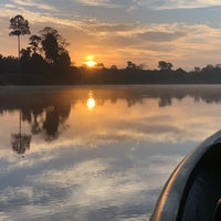 Sukau Rainforest Lodge