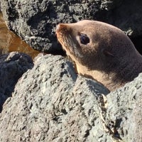 Cape Palliser - Other Great Outdoors in Wairarapa