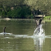 Milne Dam Conservation Park - Park