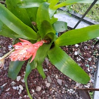 Tradition Square - Tradition - 5 tips from 664 visitors