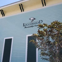 Loggerhead Park - 4 tips