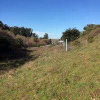 Earthquake Trail - Hiking Trail in Point Reyes Station