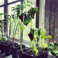 White Hall Classroom Building - College Academic Building