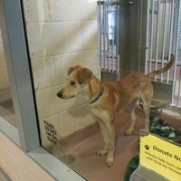 Hamilton SPCA - Hamilton, ON