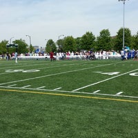 Mandrake Park - Bronzeville - Chicago, IL