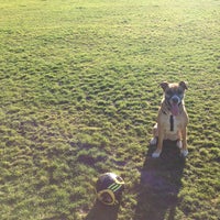 Meadows Foundation Dog Park - Dog Park in Dallas