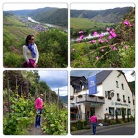 Bremmer Calmont - Vineyard