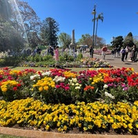 Queens Park - 8 tips