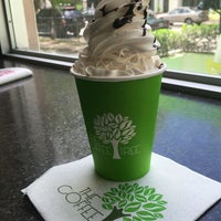 The Coffee Tree - 8 tips from 84 visitors