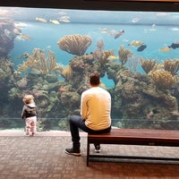 Bermuda Aquarium, Museum and Zoo - Zoo