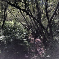 Earthquake Trail - Trail in Point Reyes Station