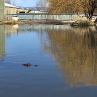 Gator Farm - 6 tips from 215 visitors