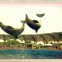 Miami Seaquarium - Village of Key Biscayne - 4400 Rickenbacker Cswy
