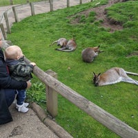 Yorkshire Wildlife Park - Zoo in Doncaster