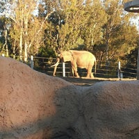Elephant Odyssey - Balboa Park - San Diego, CA
