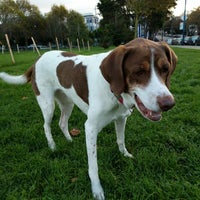 Duboce Park - Duboce Triangle - San Francisco, CA