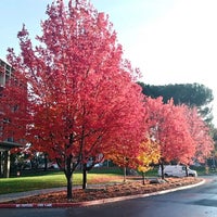SMUD Headquarters - East Sacramento - Sacramento, CA