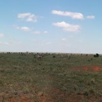 Tsavo East National Park - Bachuma Gate (Kenya Wildlife Service - KWS ...
