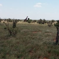 Tsavo East National Park - Bachuma Gate (Kenya Wildlife Service - KWS ...