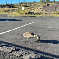 Kealakomo Overlook - Scenic Lookout in Apua Point