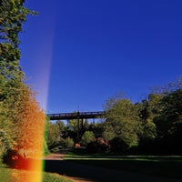 Jesmond Dene Nature Area - Jesmond