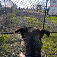Edmonds Off-Leash Dog Park - Dog Park