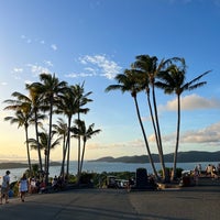 One Tree Hill - Scenic Lookout