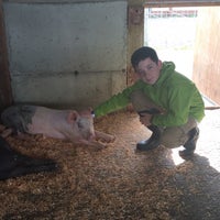 Schilter Family Farm - 141 Nisqually Cut Off Rd SE