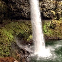 Silver Falls - Trail in Clackamas